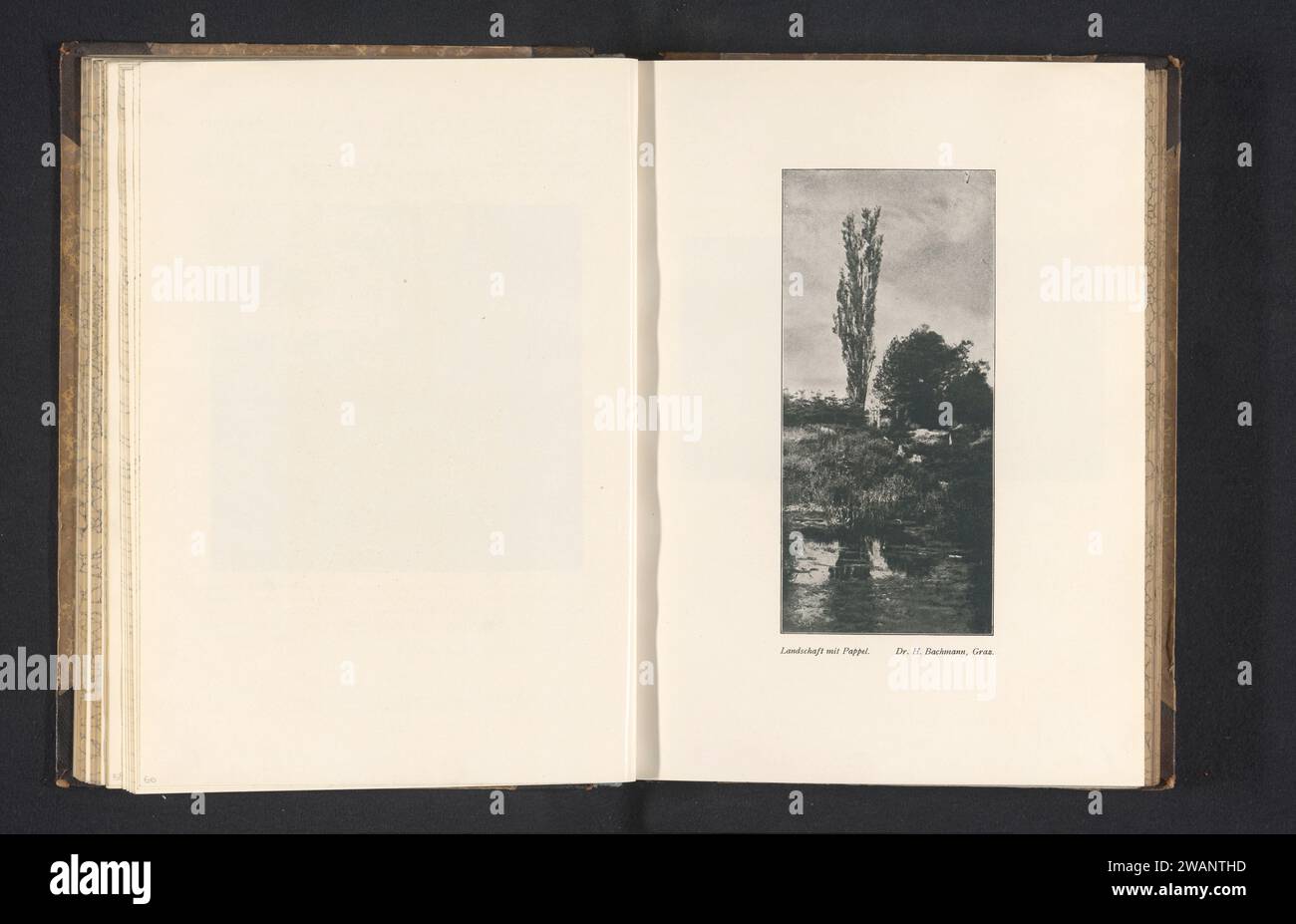 Landscape with Populier, Heinrich Bachmann, c. 1898 - in Or Before 1903 ...