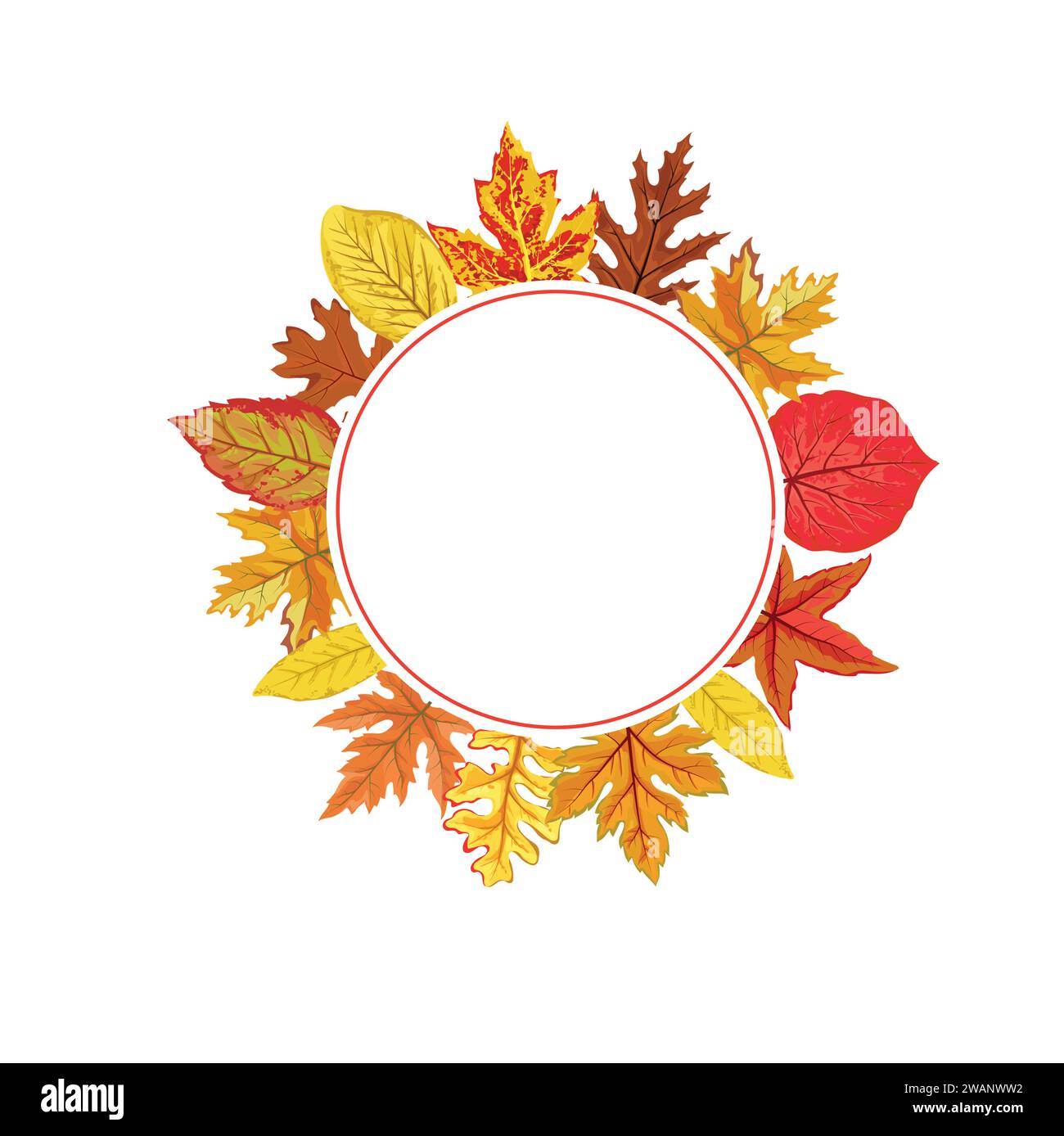 Vector Autumn Leaves Frame with white space vector, circle template ...