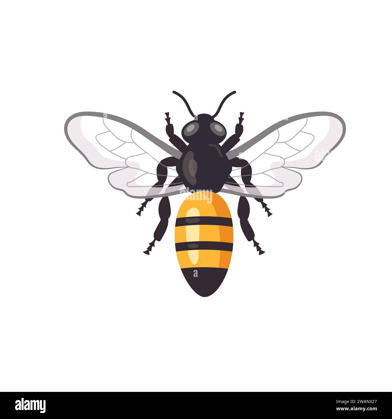 Cartoon honey bee hi-res stock photography and images - Alamy