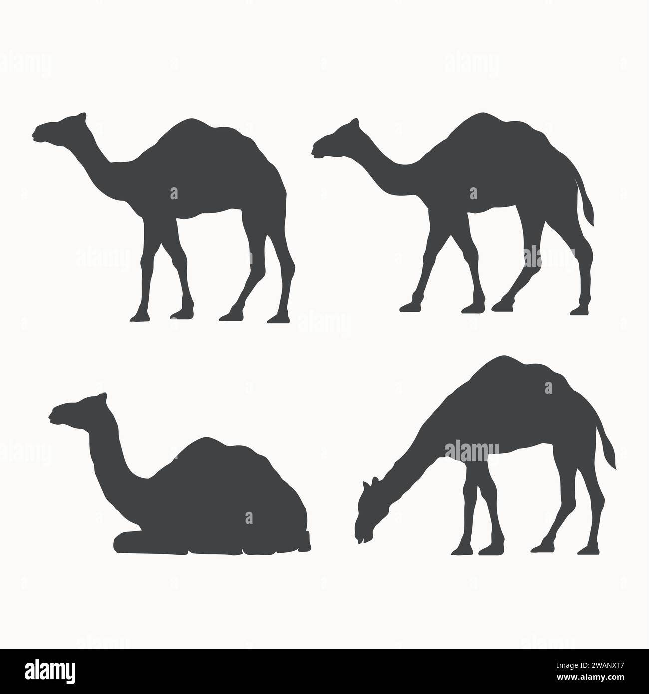 White black sand water Cut Out Stock Images & Pictures - Alamy