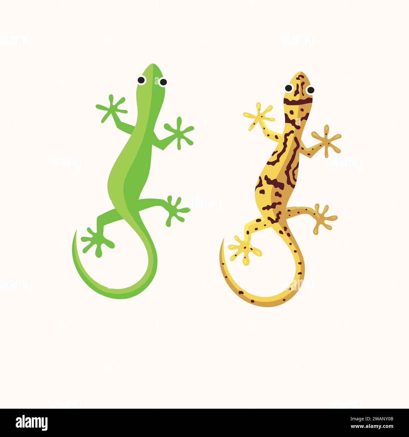 Gecko or lizard Vector illustration,lizard isolated animal illustration ...