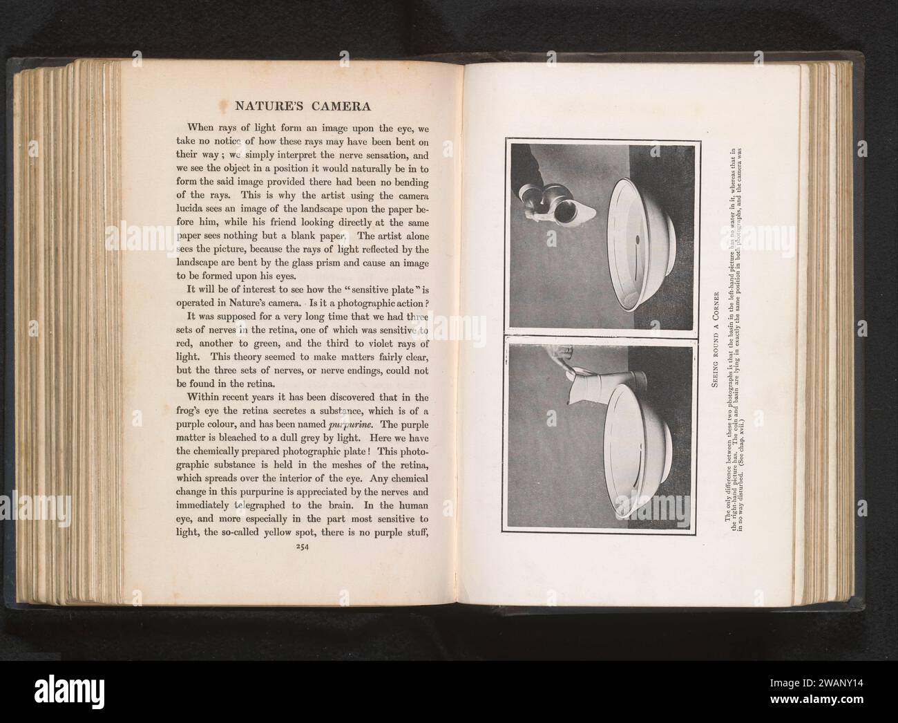 Come with a jug with water and the same bowl with water in it and the ...