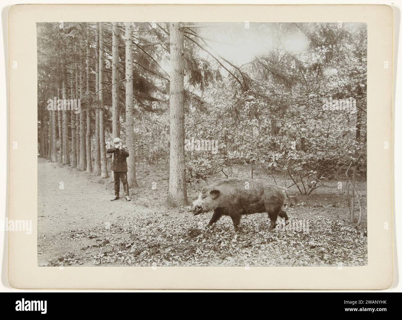 Maarten Pauw van Wieldrecht shooting at (set up) Wild Zwijn, 1898 ...