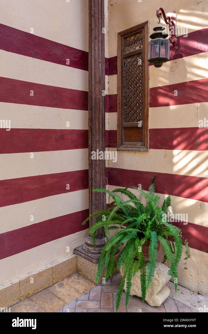 Rustic charm of Mamluk architecture weathered wooden window with a ...