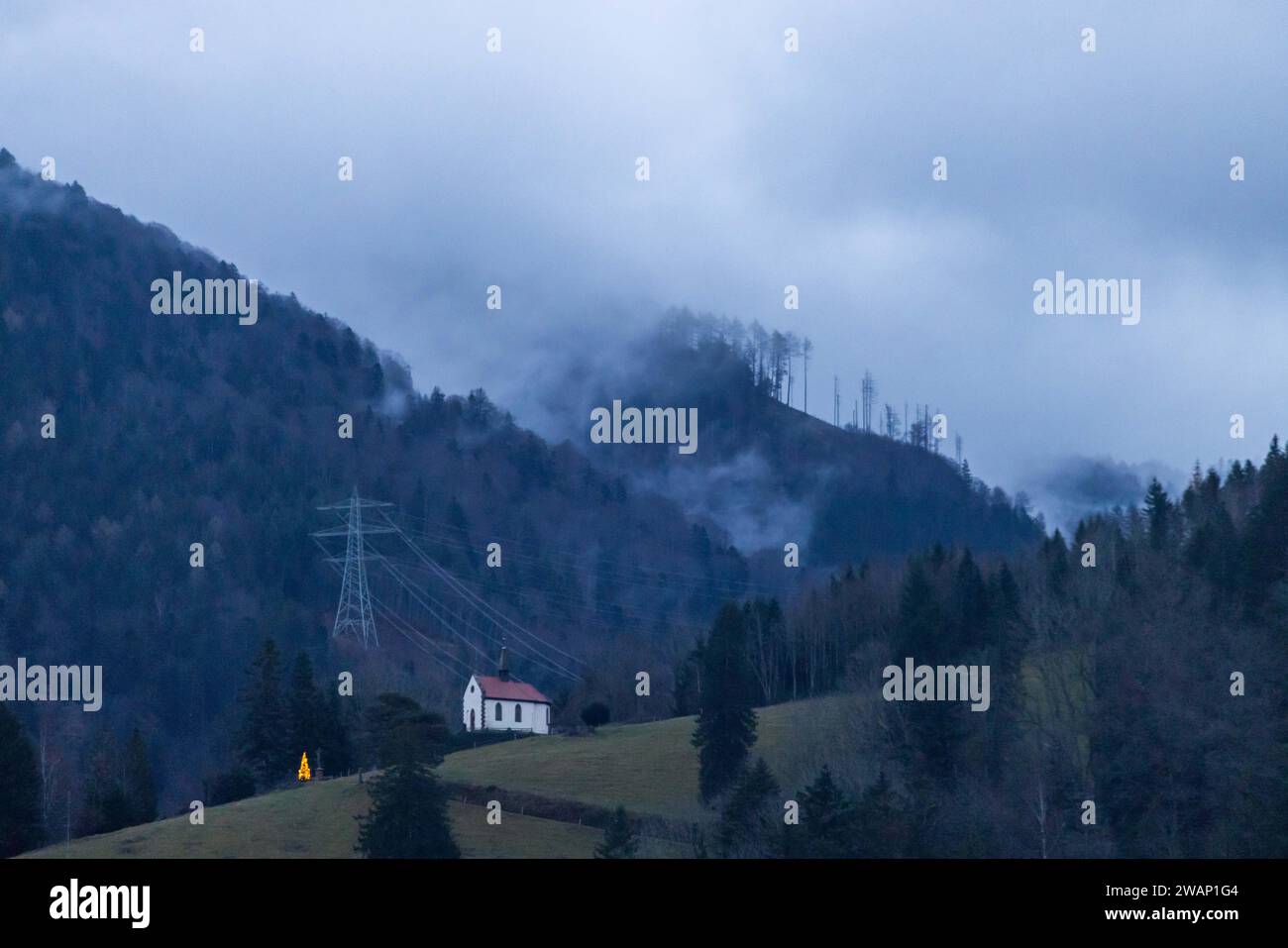 Buchenbach, Germany. 06th Jan, 2024. An illuminated Christmas tree ...
