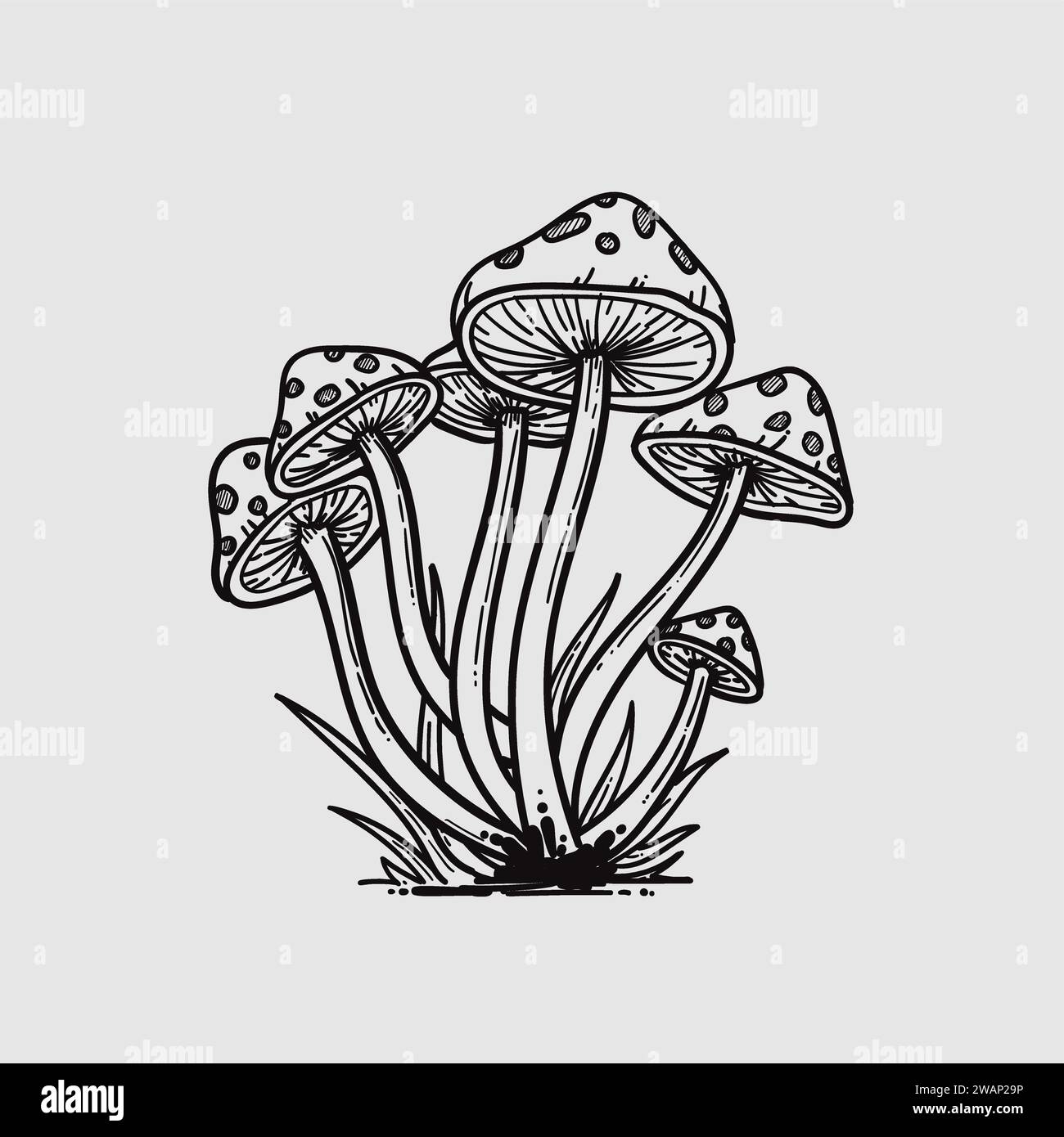 Mushrooms Hand Drawn Illustration Premium Vector Stock Vector Image