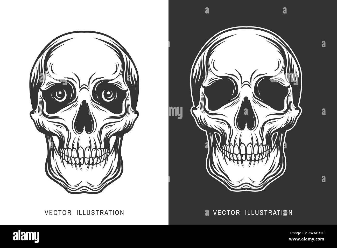 Human skull. Vector illustration. Monochrome skulls set on white and ...