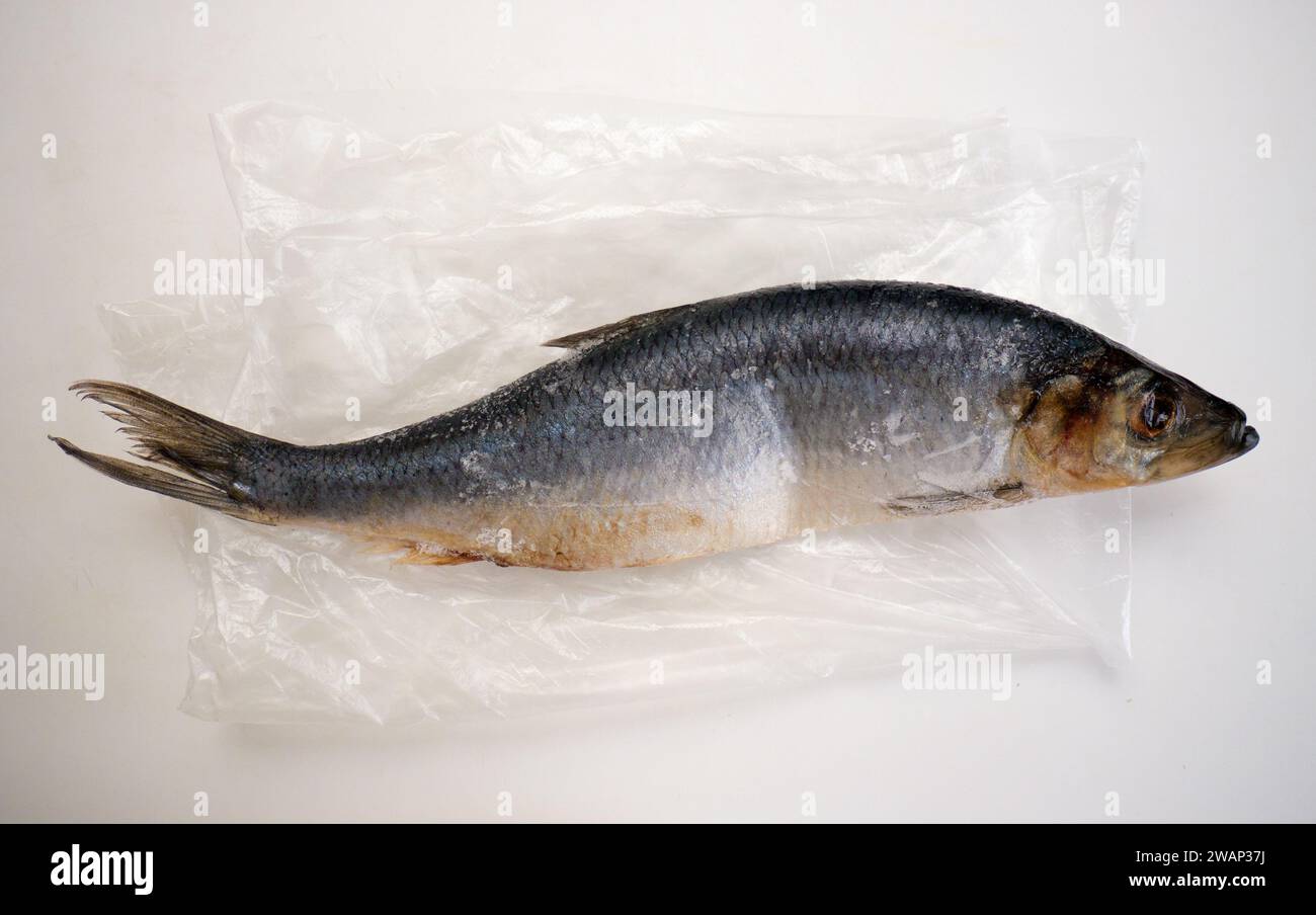 Cellophane fish hi-res stock photography and images - Alamy