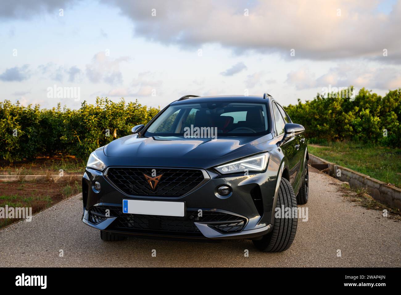 Cupratribe hi-res stock photography and images - Alamy