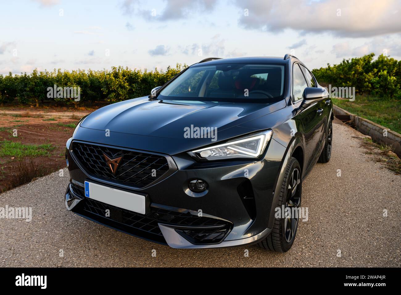 Cupra formentor hi-res stock photography and images - Alamy