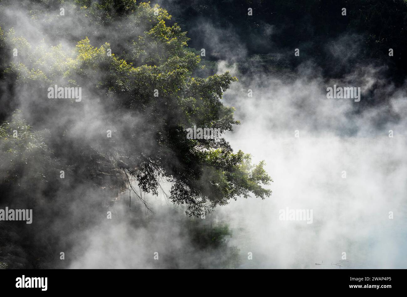 Taipei. 06th Jan, 2024. Sunlight filters through the mist surrounding ...