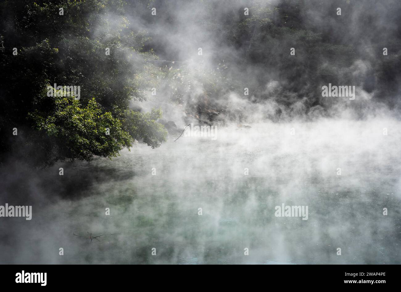 Taipei. 06th Jan, 2024. Sunlight filters through the mist surrounding ...