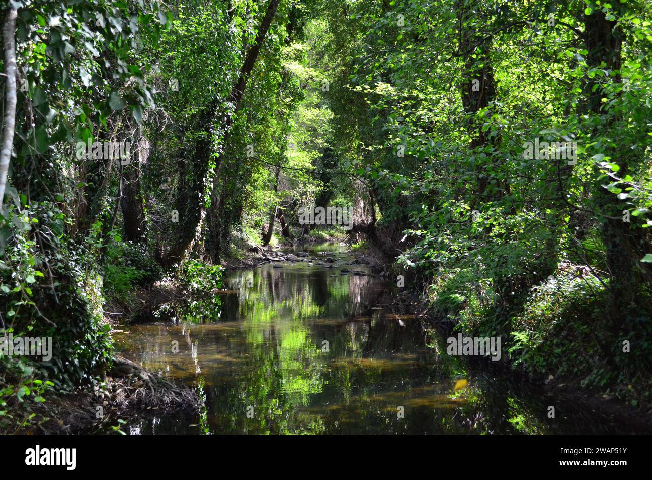 Ecosistema fluvial hi-res stock photography and images - Alamy