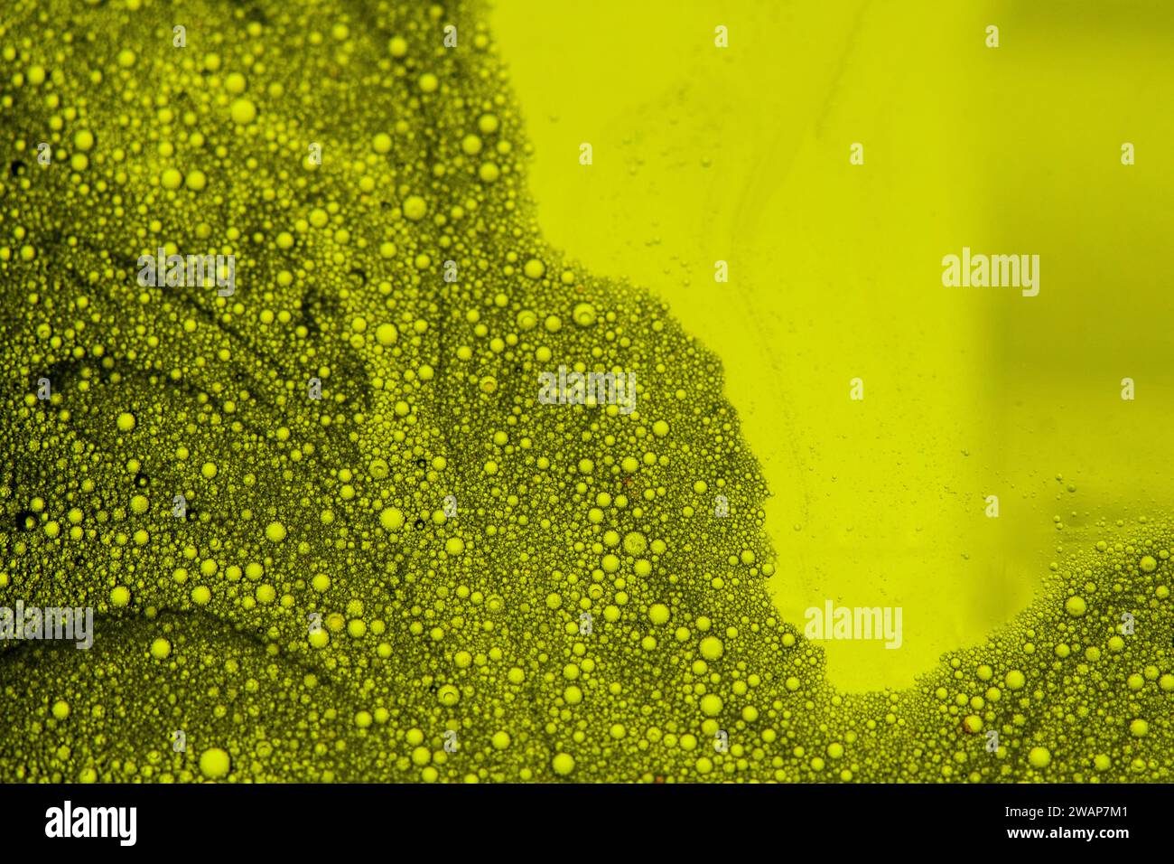 Bubbles created using soap and water mixed in cooking oil with back ...