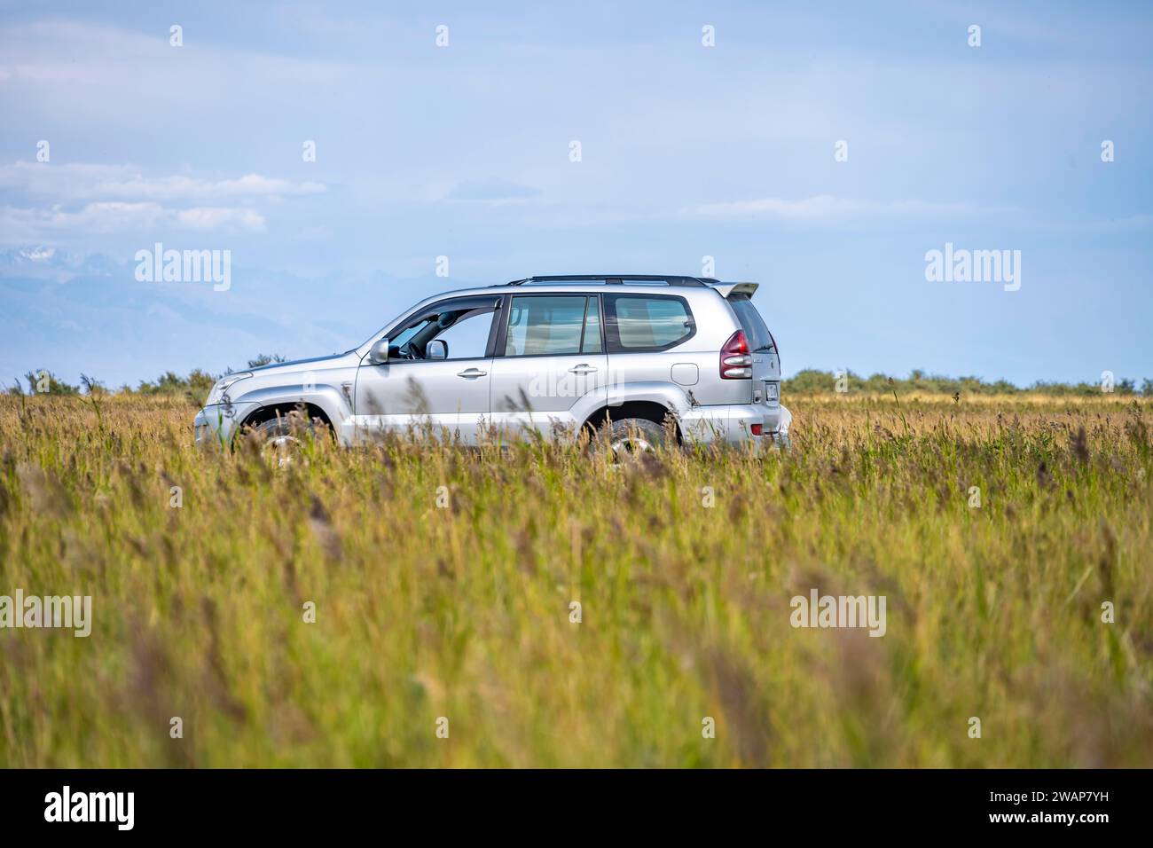 Animal in vehicle hi-res stock photography and images - Alamy