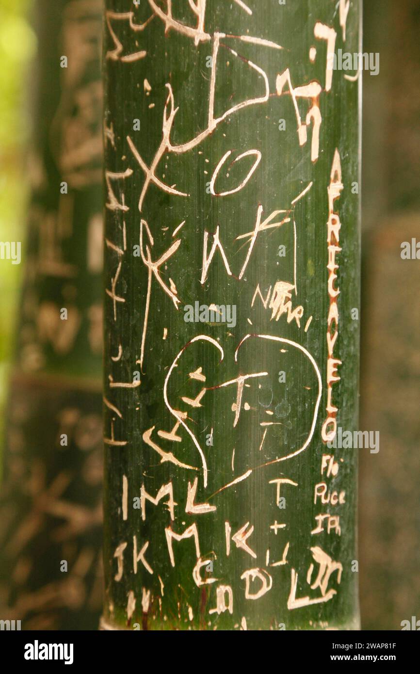 Grafity on a bamboo cane, Marrakech, Morocco, Africa Stock Photo - Alamy