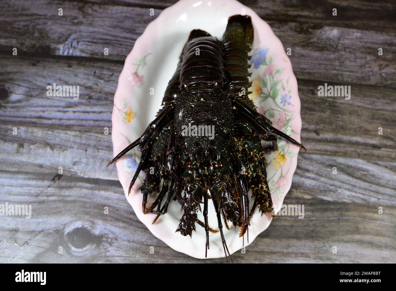 Raw uncooked fresh lobster, Lobsters are a family Nephropidae ...