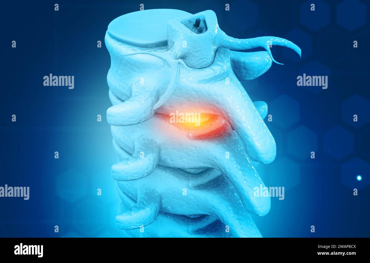 Human spine, vertebrae anatomy science background. 3d illustration ...