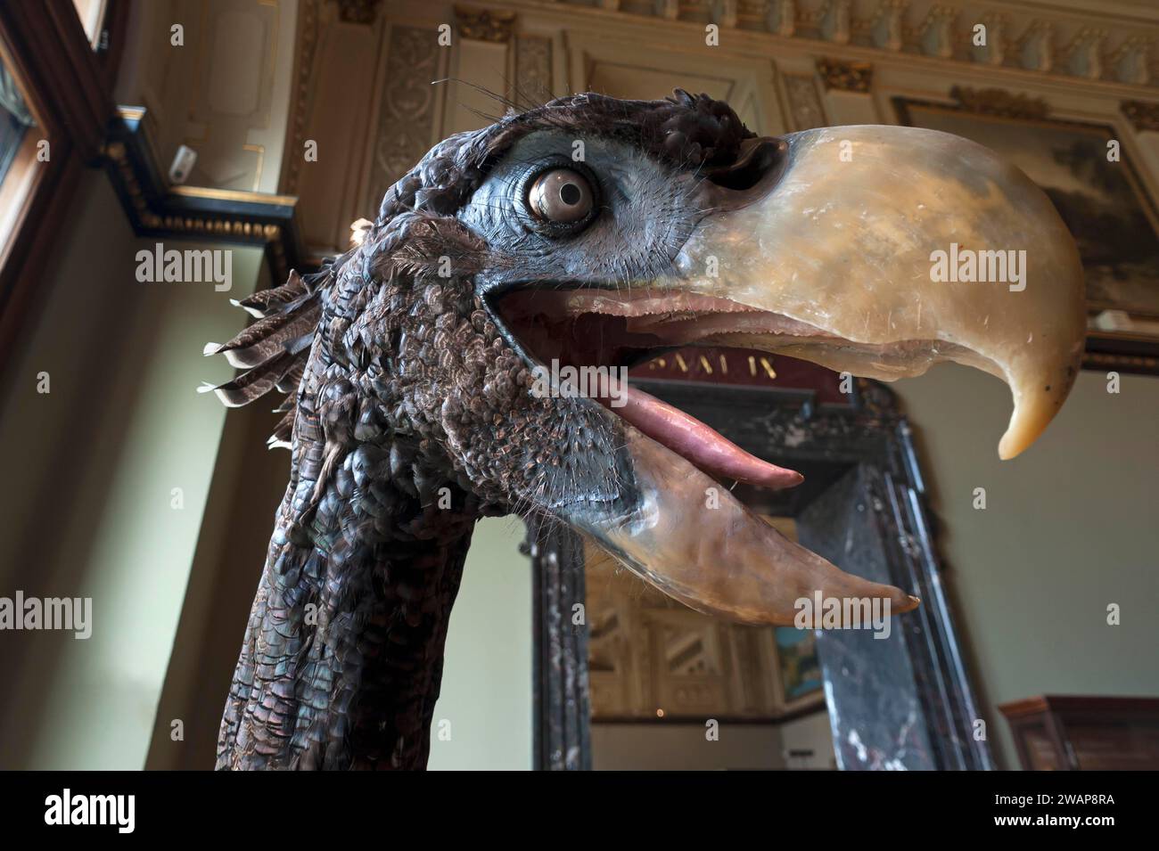 Terror bird model hi-res stock photography and images - Alamy