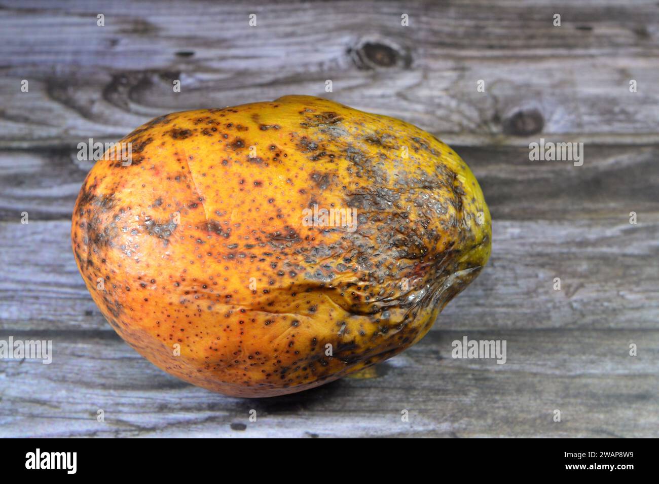 Mango fruit with mold, mould is one of the structures that certain ...