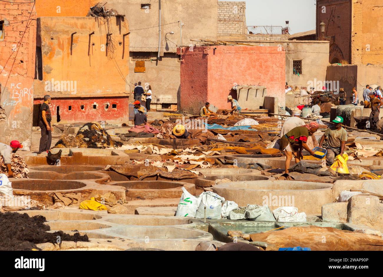 Traditional tannery with dyeing vats for animal skins, Marrakech ...