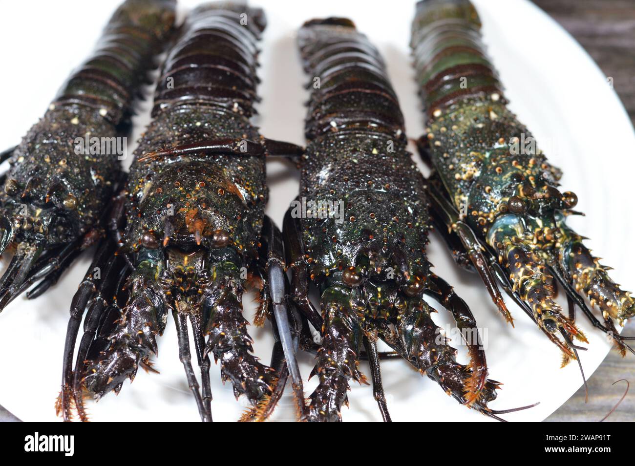 Raw uncooked fresh lobster, Lobsters are a family Nephropidae ...