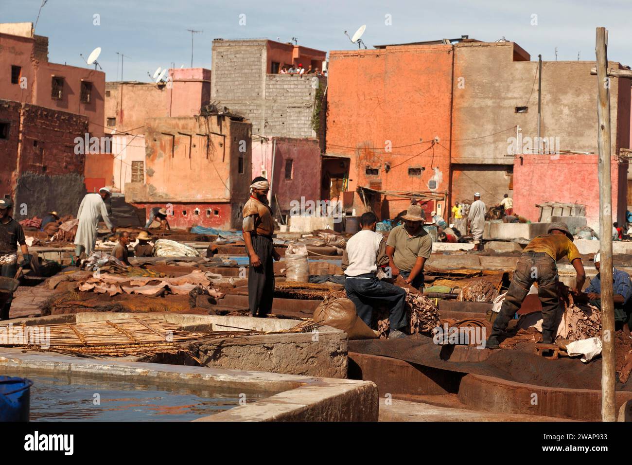 Traditional tannery with dyeing vats for animal skins, Marrakech ...
