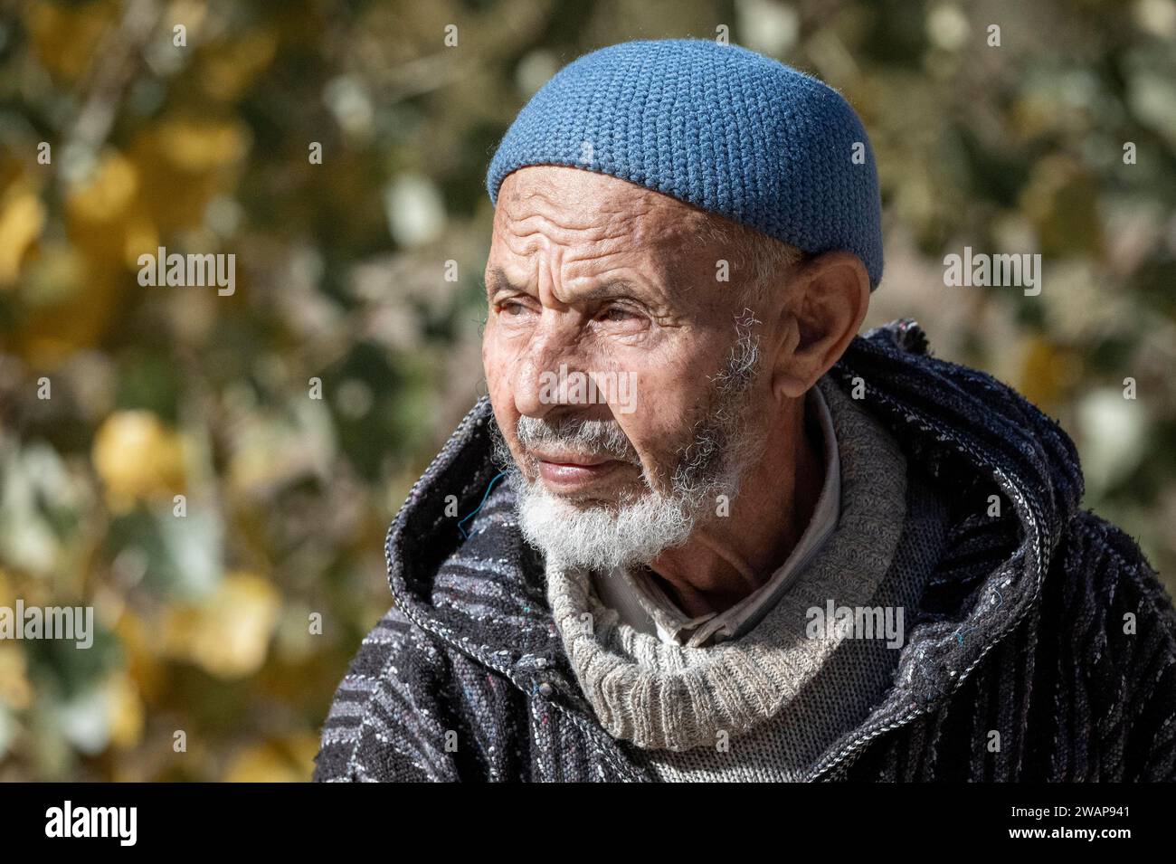 Portrait, old man with typical Moroccan clothing, Morocco, Africa Stock ...