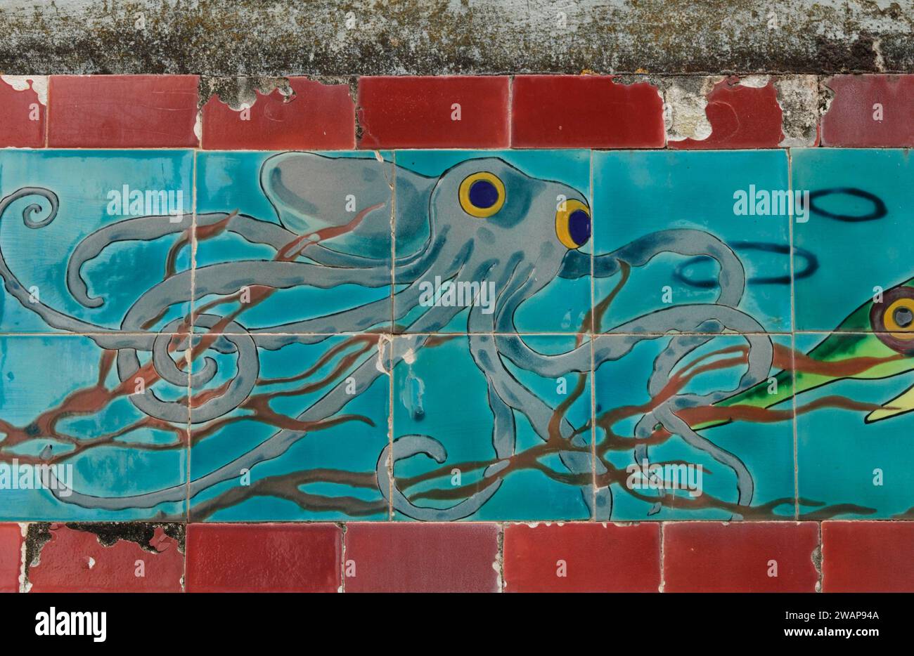Menton fontana rosa garden hi-res stock photography and images - Alamy