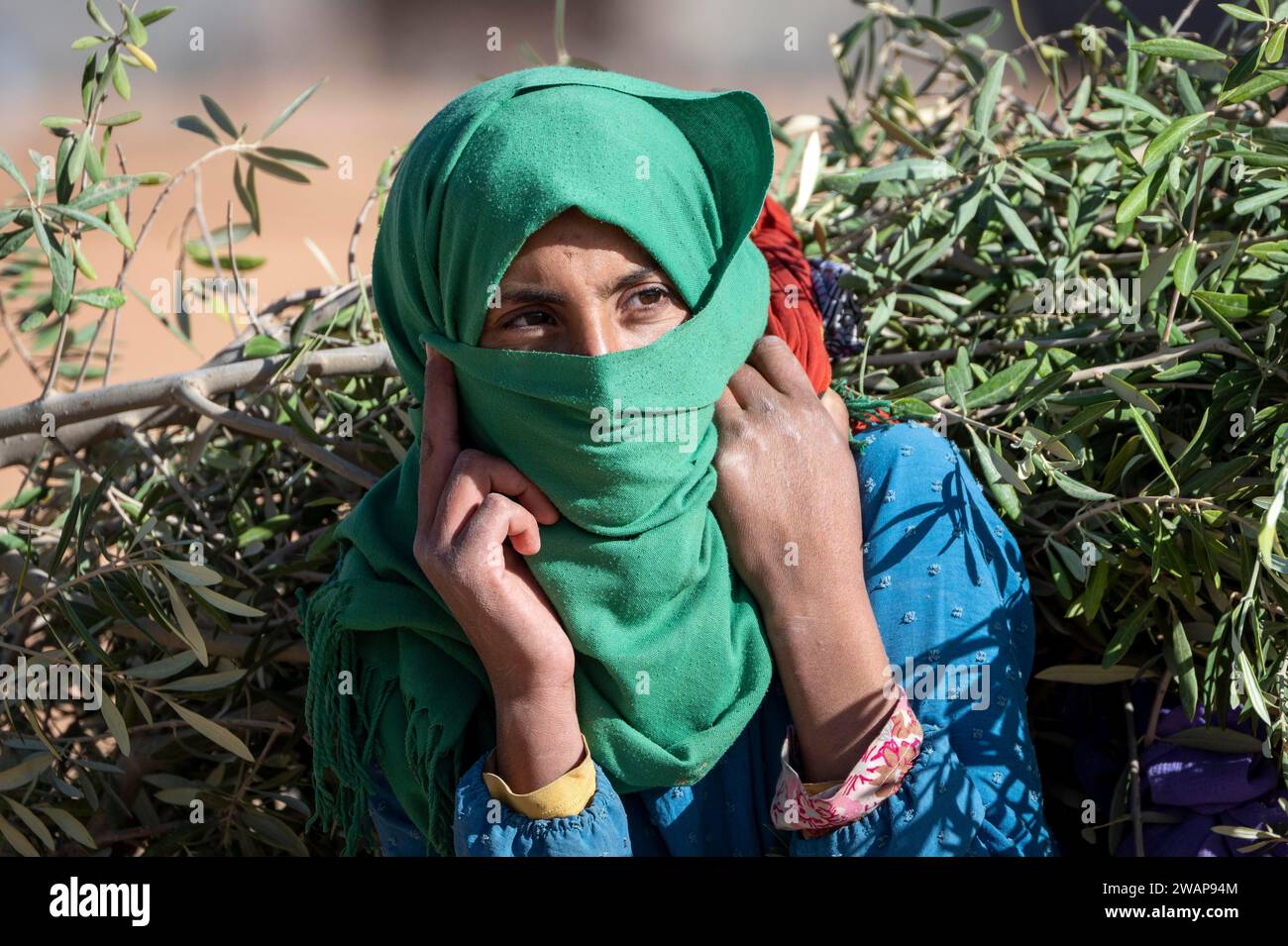 Portrait berber woman morocco africa hi-res stock photography and ...