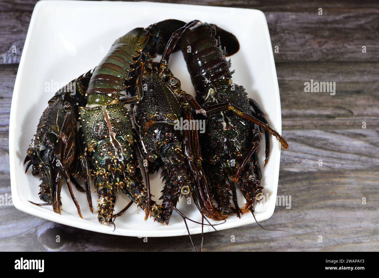 Raw uncooked fresh lobster, Lobsters are a family Nephropidae ...