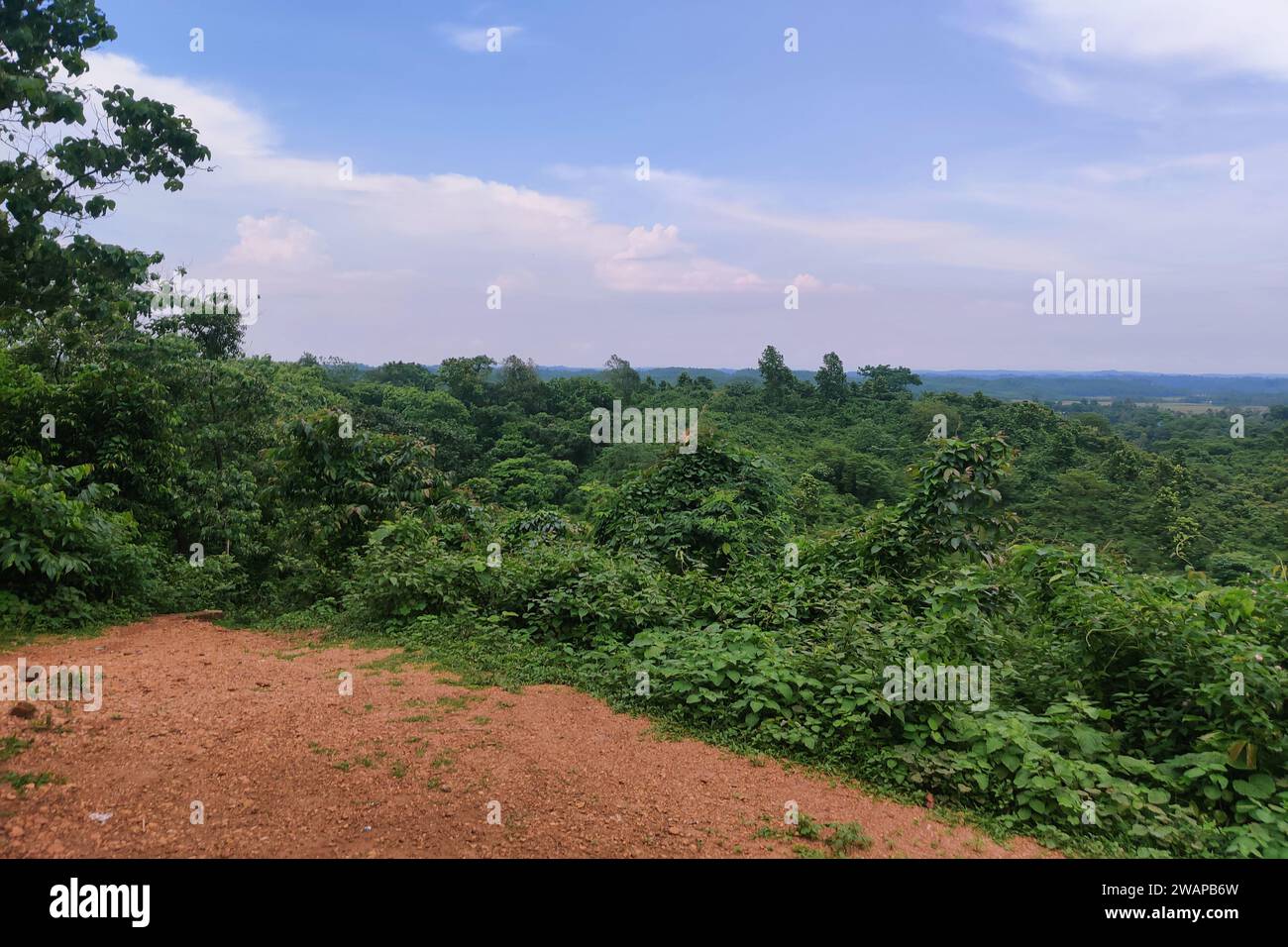 4k green park grass tree hi-res stock photography and images - Alamy