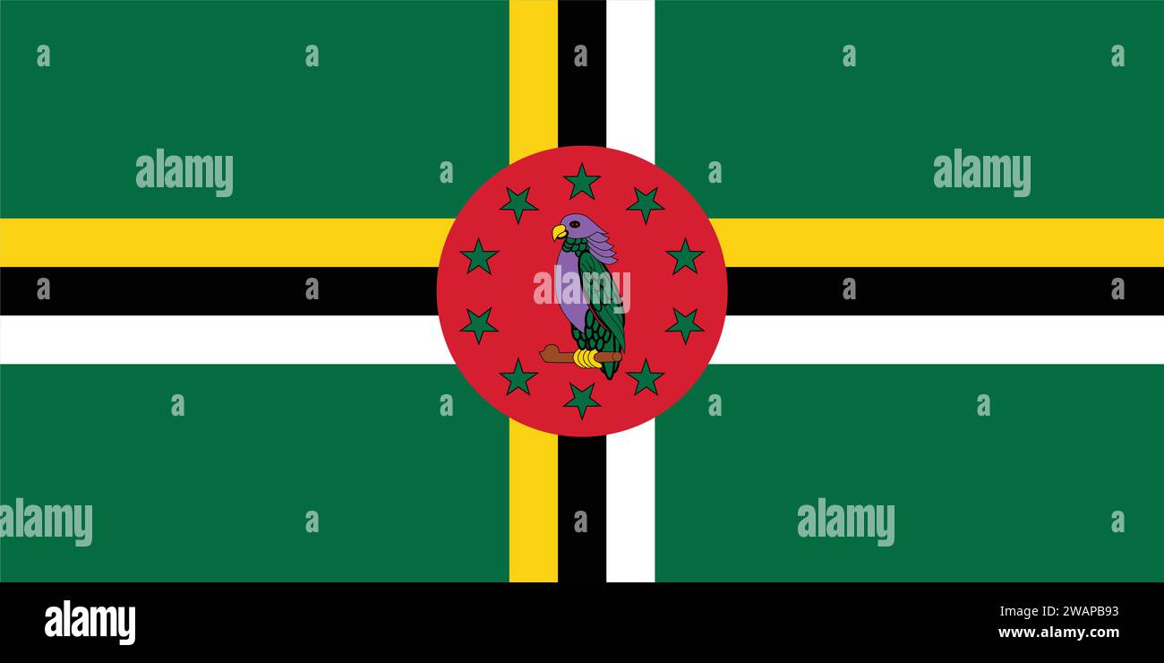 High detailed flag of Dominica. National Dominica flag. North America ...
