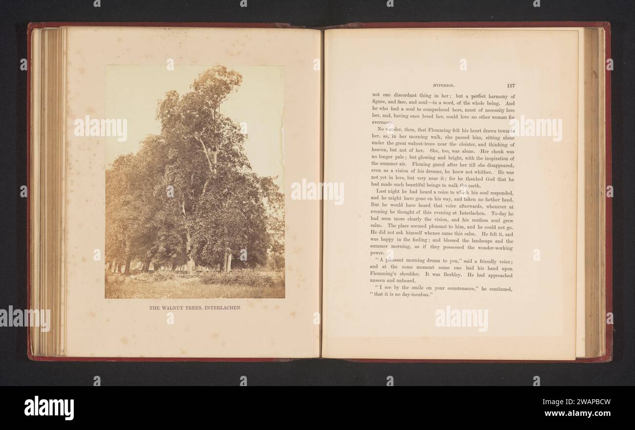 Walnootbomen in Interlaken, Francis Frith, c. 1855 - in or before 1865 ...