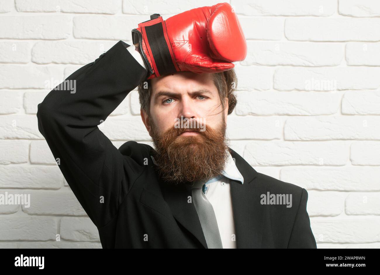 Hard business. Funny tired boxer businessman, business battle. Business ...