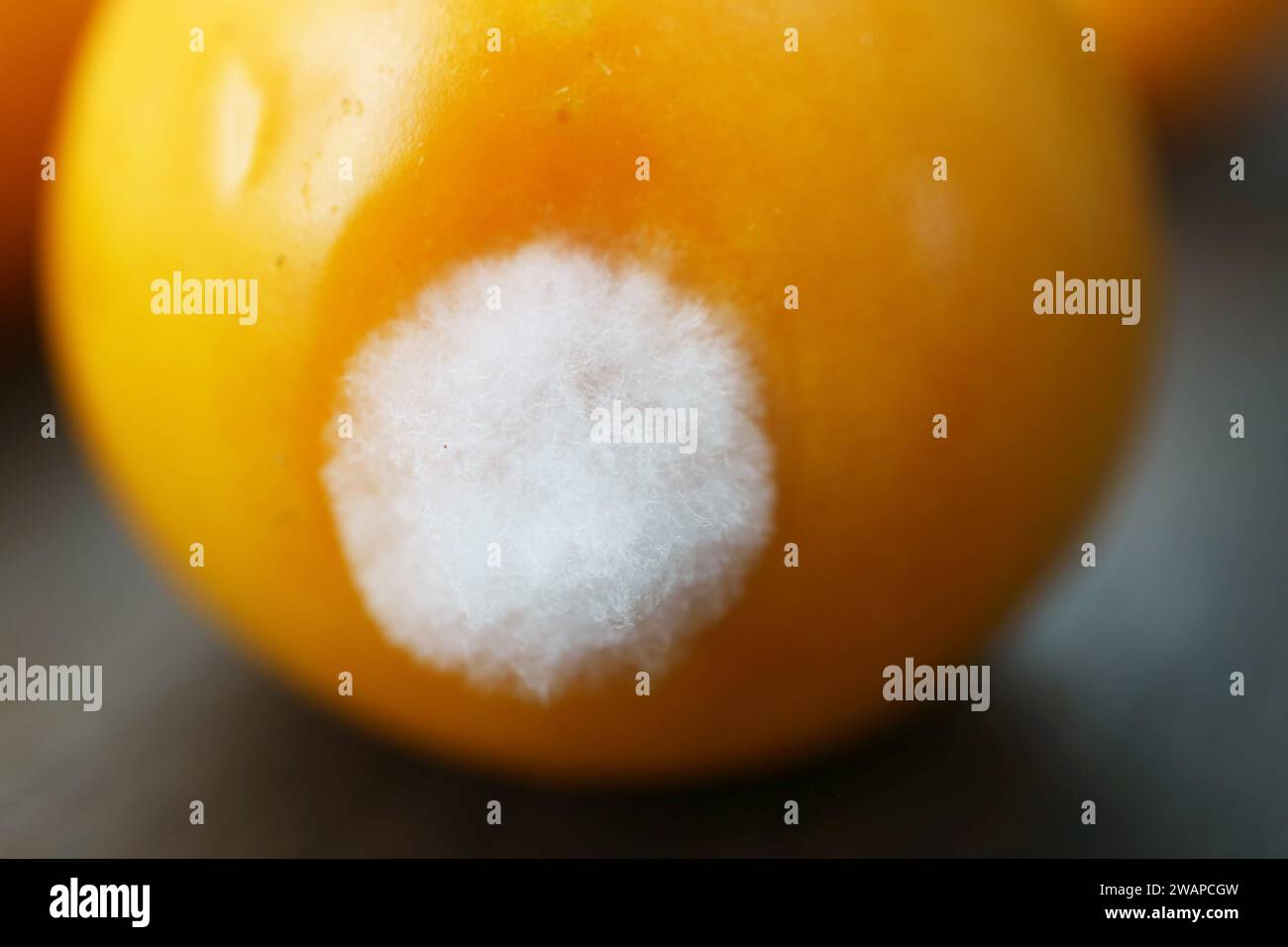 Rotten gooseberry hi-res stock photography and images - Alamy