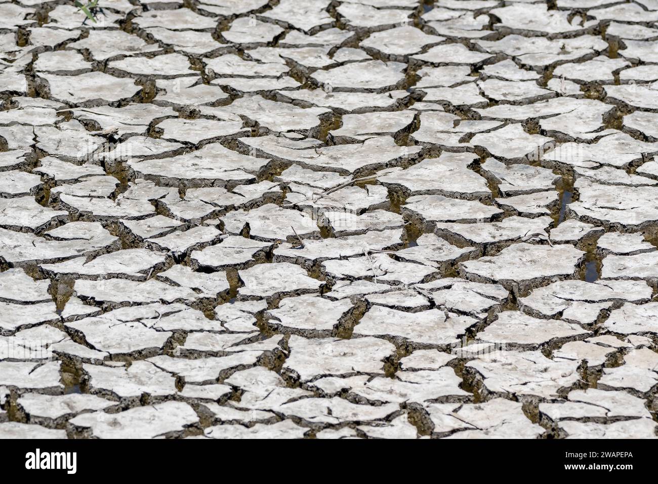 Expansive clay, dry floor, drought, Spain Stock Photo - Alamy