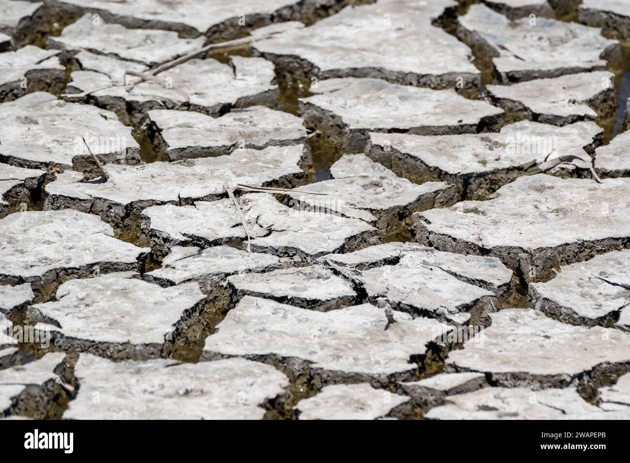 Expansive clay, dry floor, drought, Spain Stock Photo - Alamy