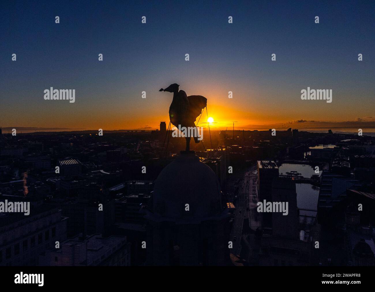 The sun rises behind one of the Liver Birds, sat atop of the Royal ...