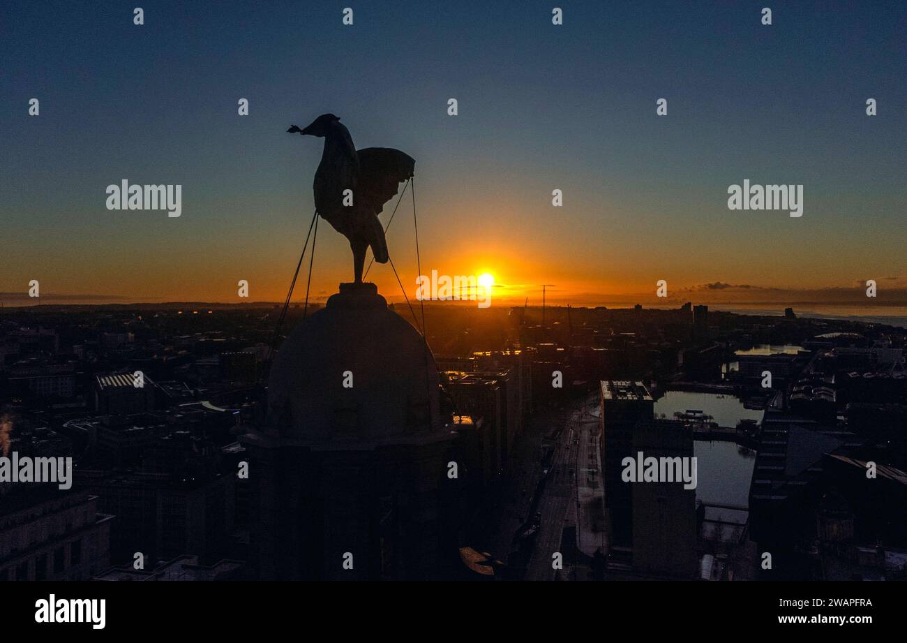 The sun rises behind one of the Liver Birds, sat atop of the Royal ...