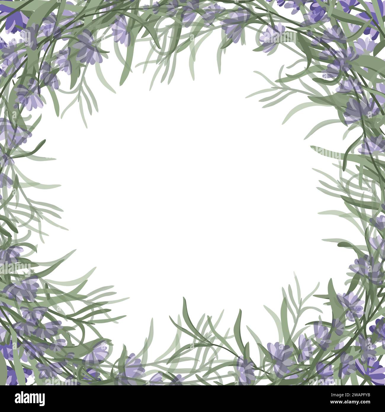 Floral purple-lavender border made of lavender flowers and leaves, for ...