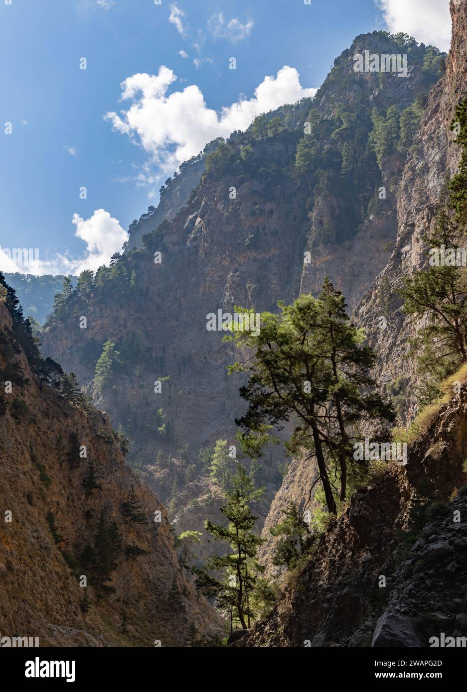 A picture of the Samaria Gorge rugged landscape as seen from the ground ...