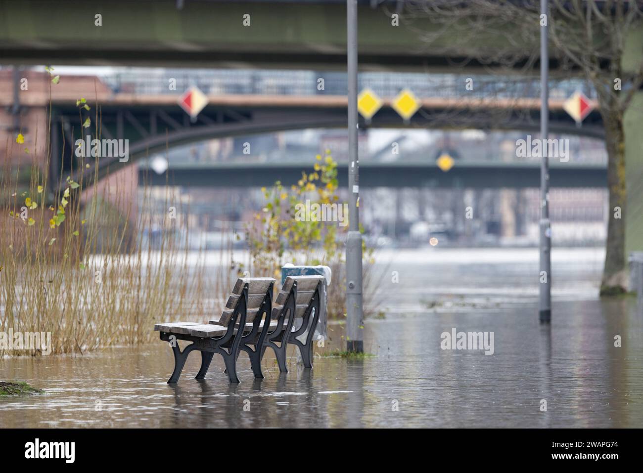 06 January 2024, Hesse, Frankfurt/Main: Two benches stand on the ...