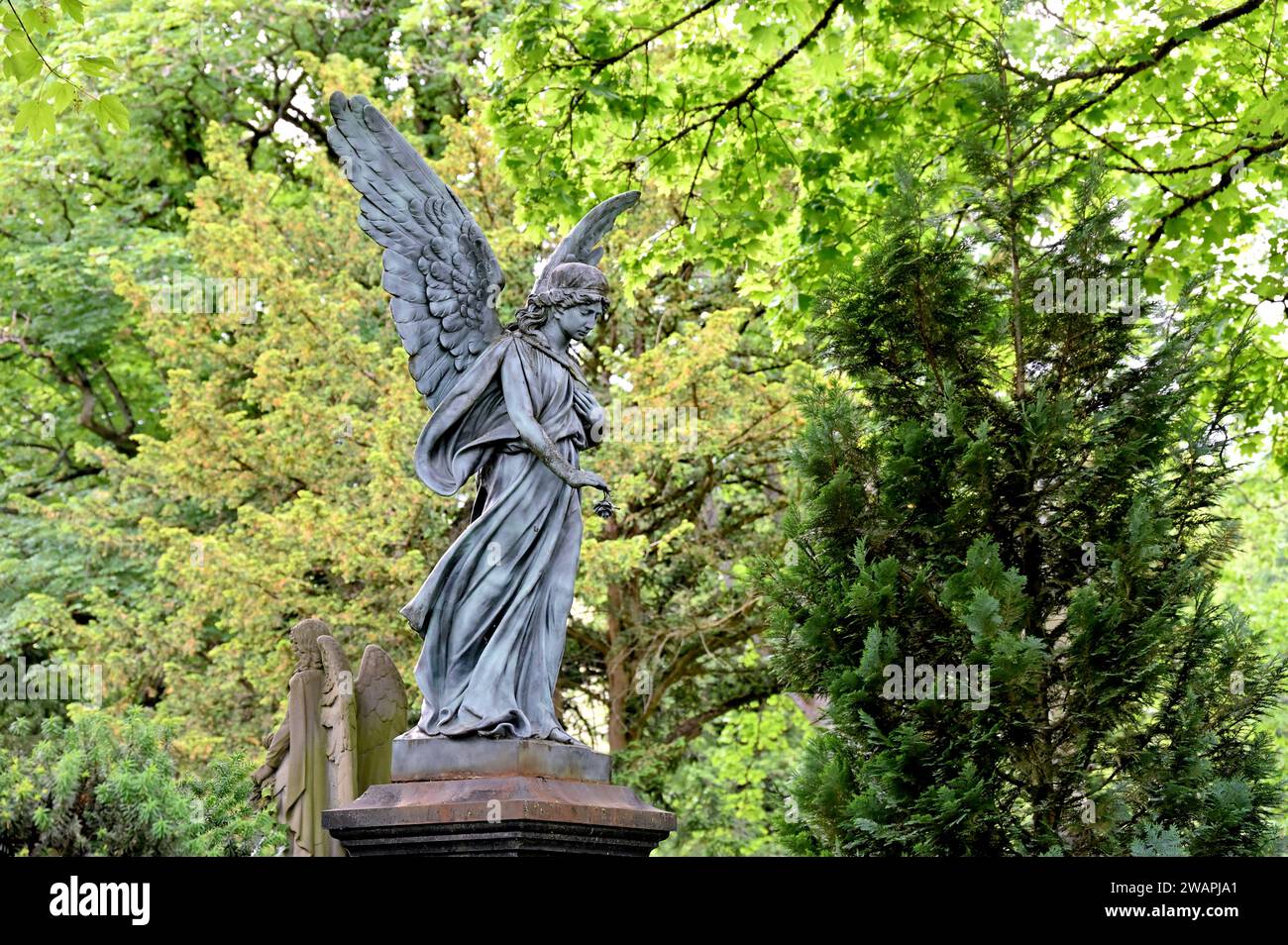 Magnificent statue of an angel holding a rose Stock Photo - Alamy