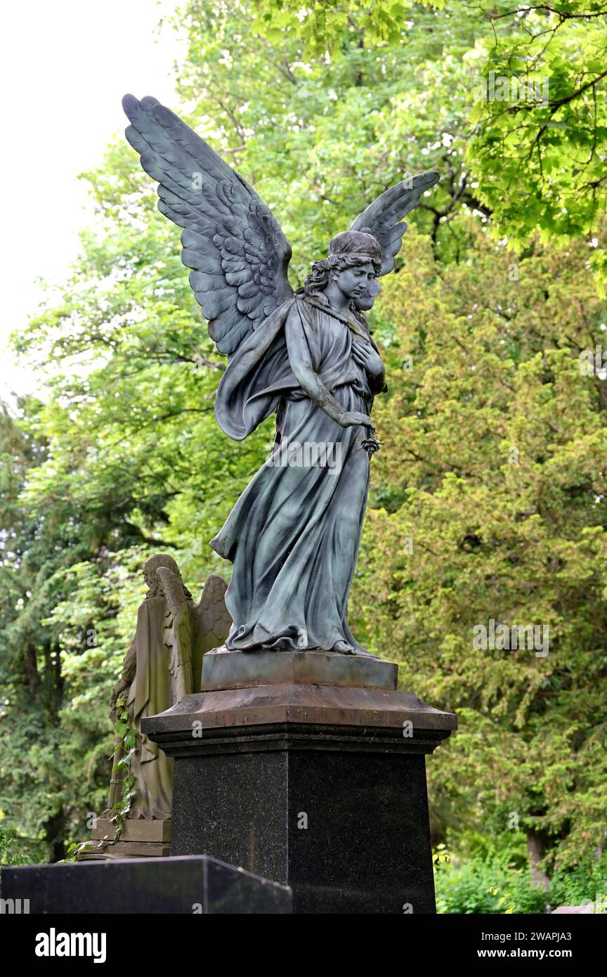 Magnificent angel statue with a rose in her hand Stock Photo - Alamy