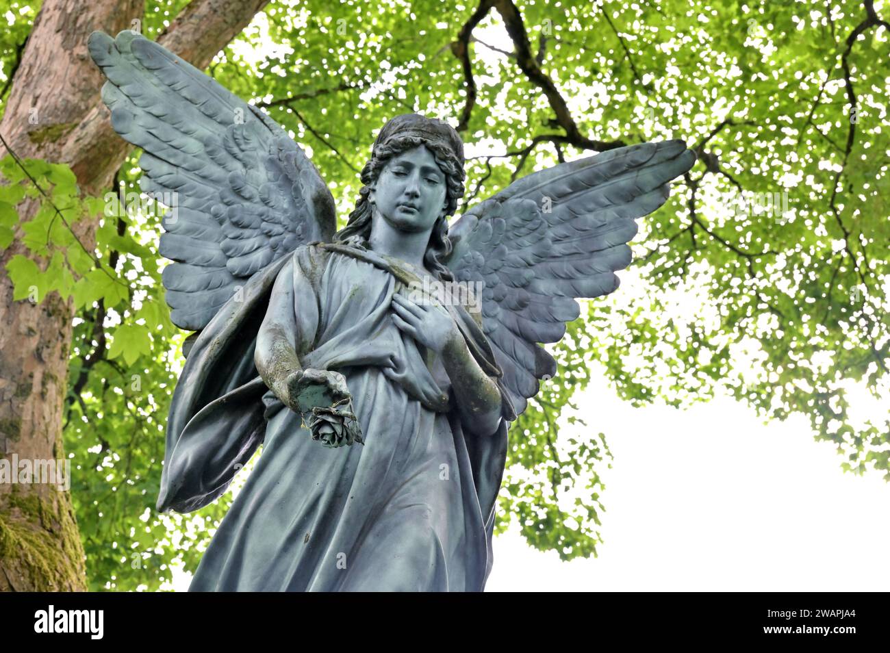 MaMagnificent angel statue with a rose in her hand Stock Photo - Alamy