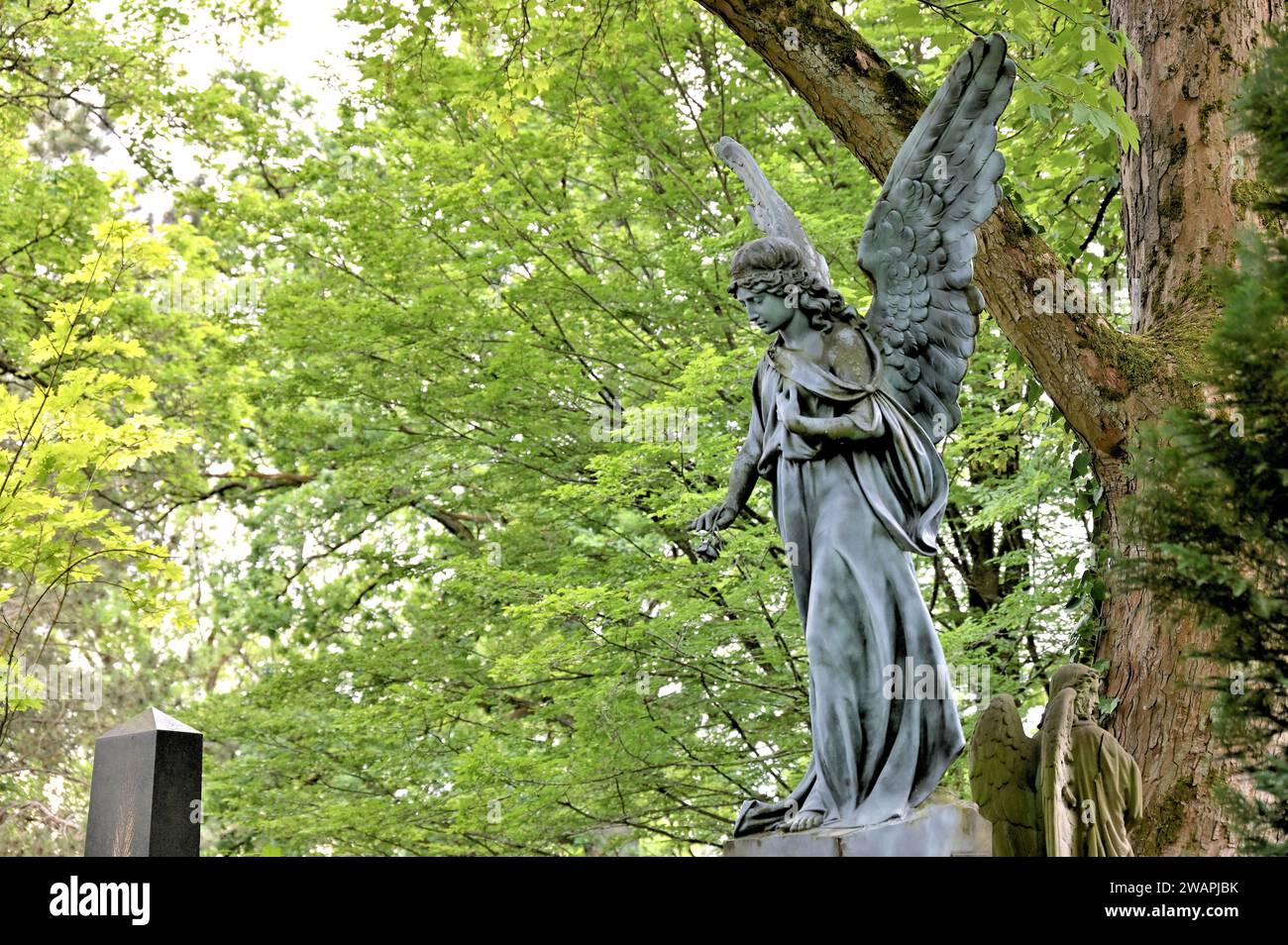 Angel hands christ hi-res stock photography and images - Alamy