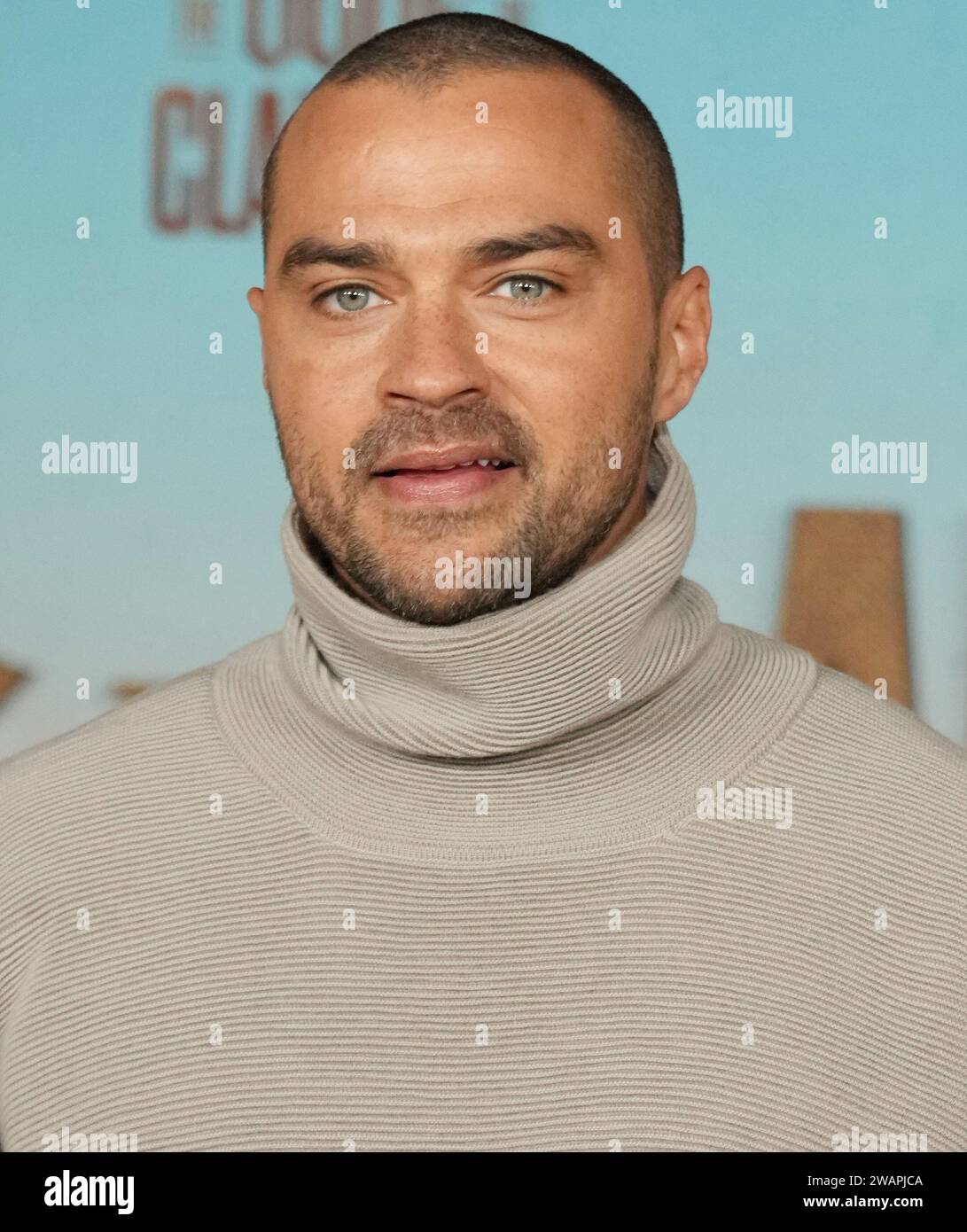 Los Angeles, USA. 09th Nov, 2022. Jesse Williams arrives at the Sony ...