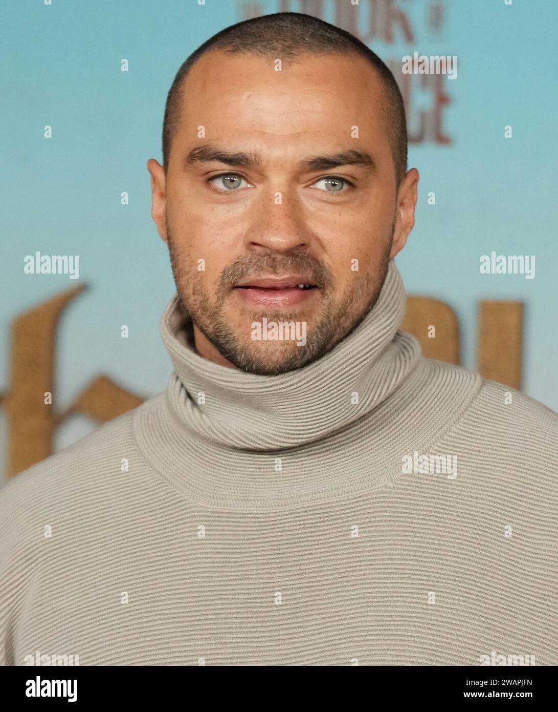 Los Angeles, USA. 09th Nov, 2022. Jesse Williams arrives at the Sony ...