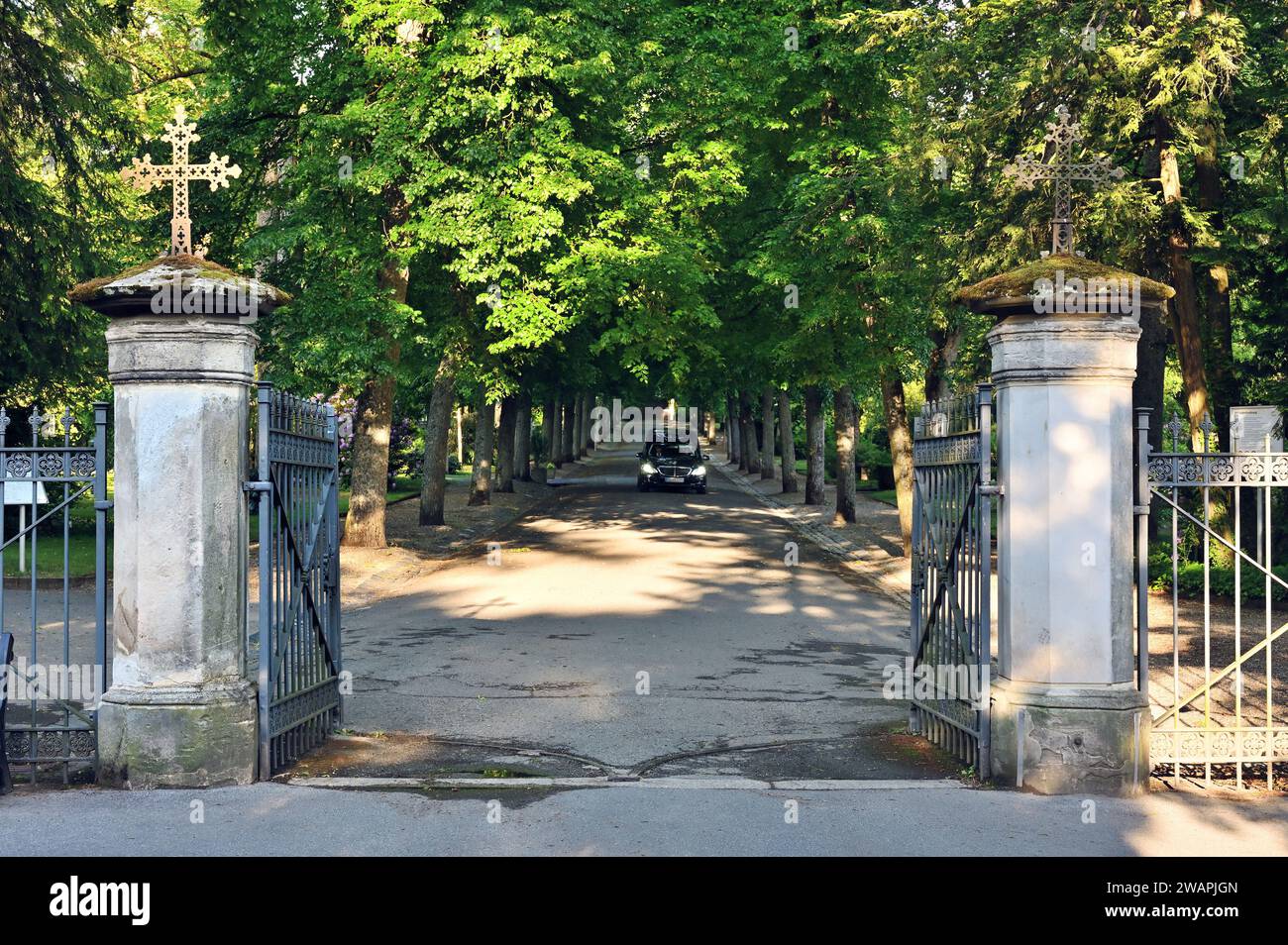 Entrance to the cemetery with avenue of trees and hearse Stock Photo ...